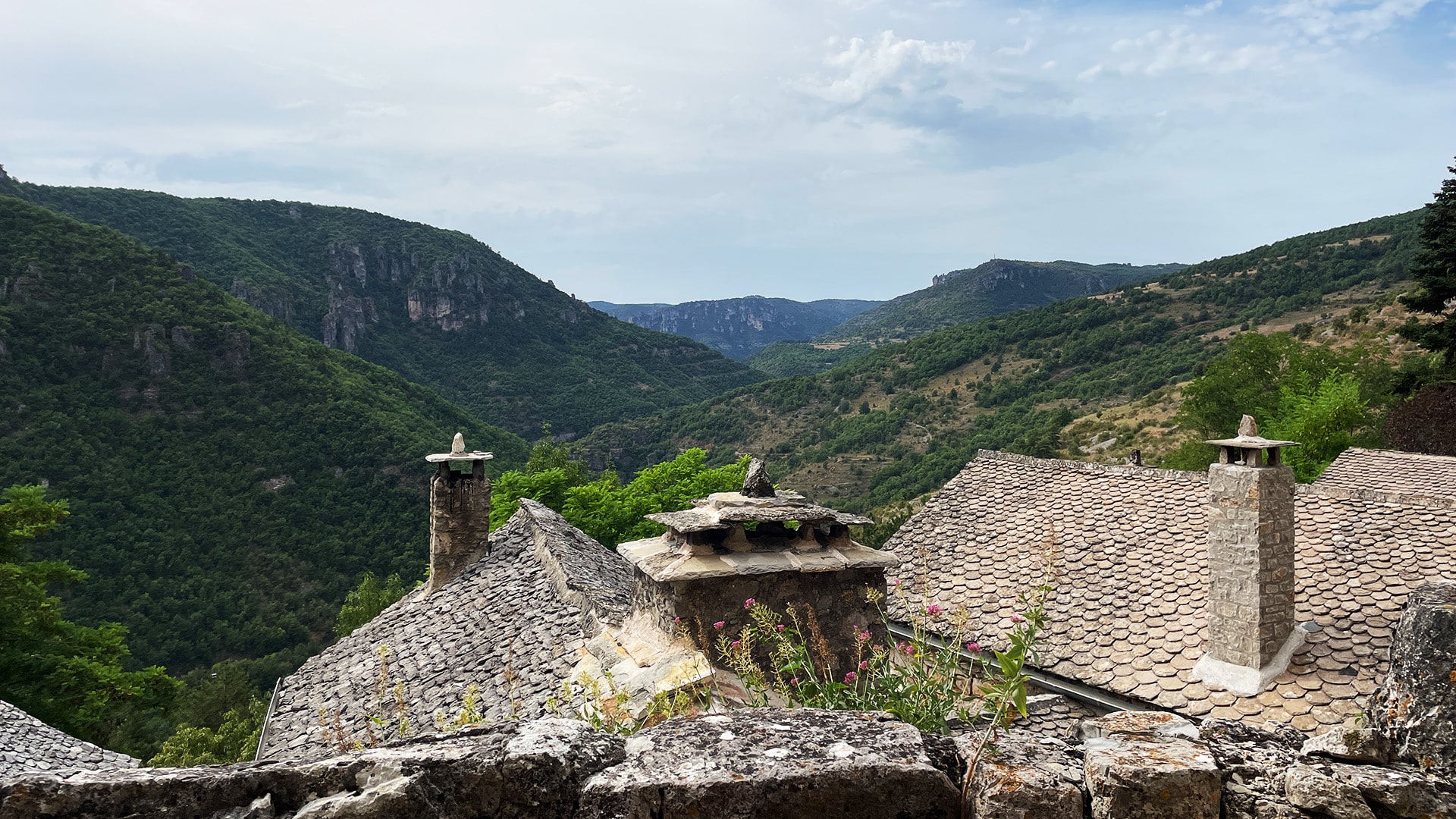 Cardabelle – Aux amoureux de l'Aveyron